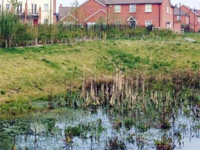 Urban greening factor - Trafford Design Code