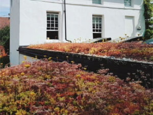 Urban greening factor - Trafford Design Code
