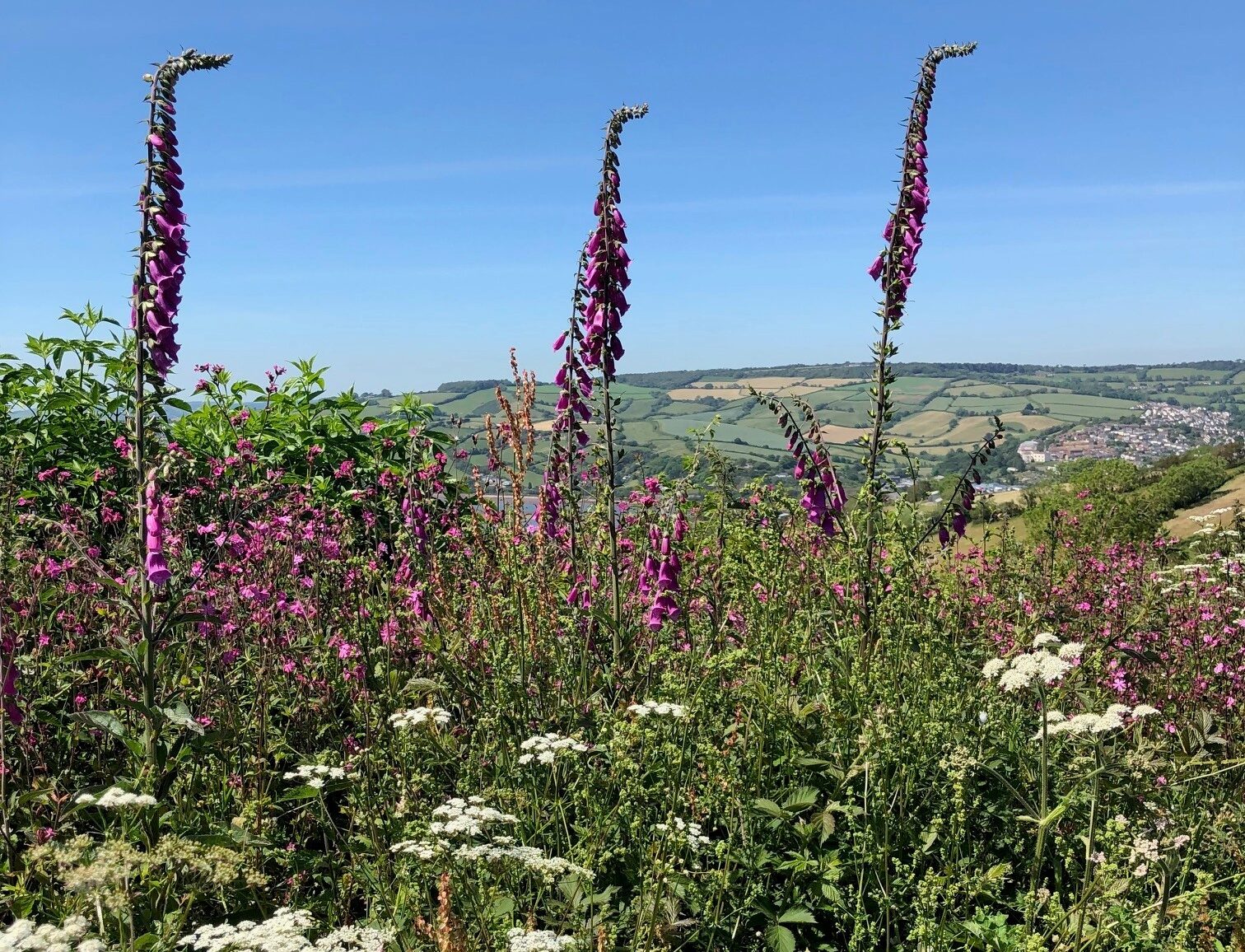 Biodiversity - Trafford Design Code